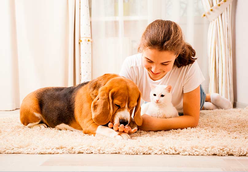 Los cuidados de las mascotas ¿estás preparado?